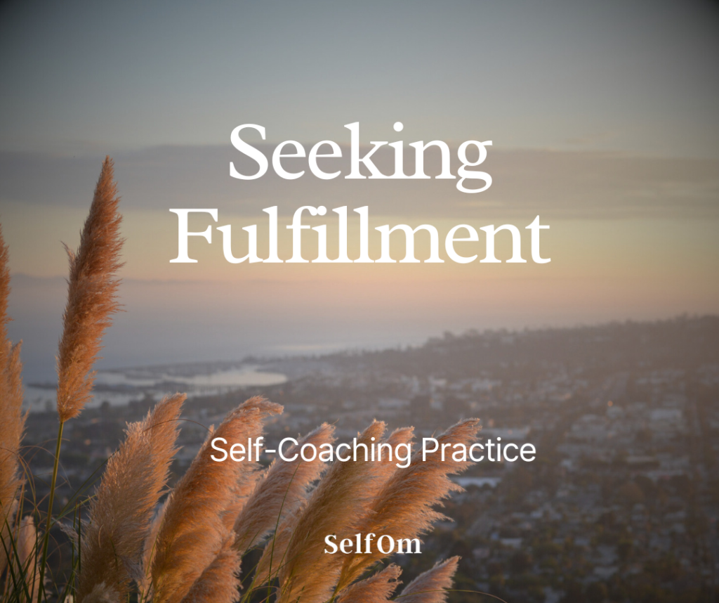 Seeking Fulfillment | Discover Selfom Platform 2024 Seeking Fulfillment | Discover Selfom Platform 2024